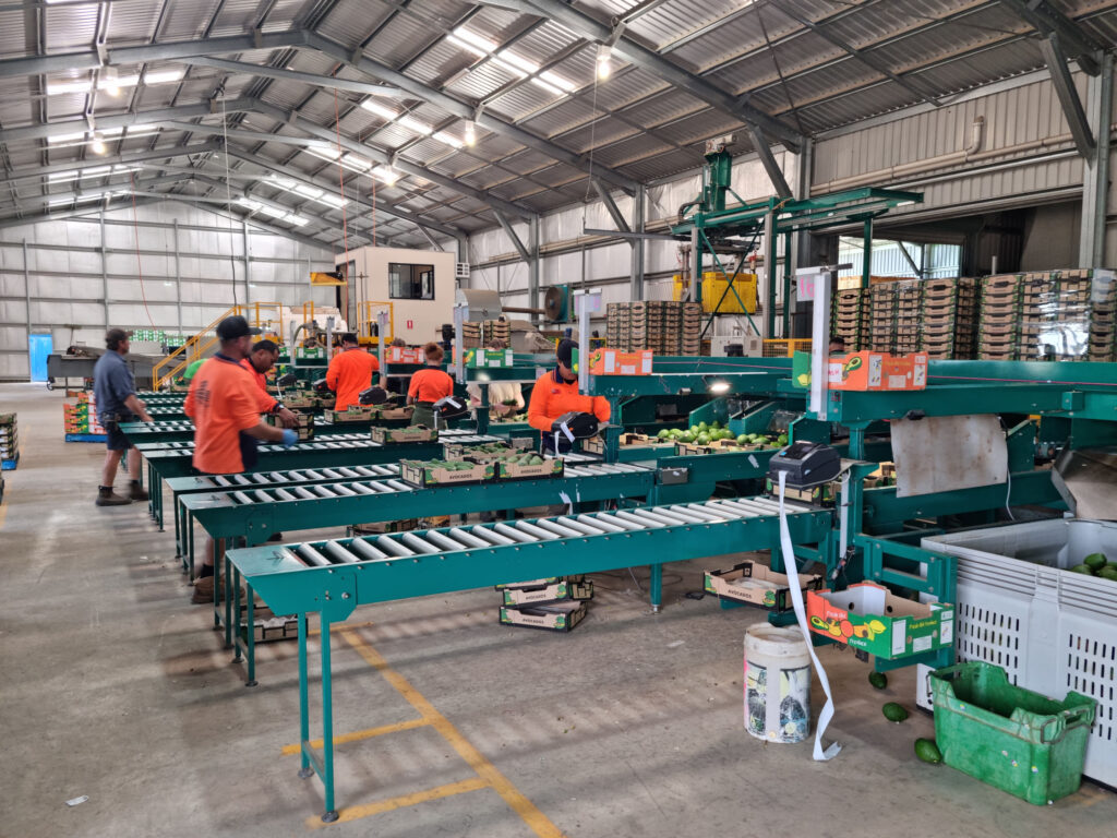 Fresh Food Packaging Management System for Farmers | FreshTrack